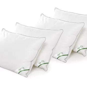 perne din fulgi de gasca (33 produse)